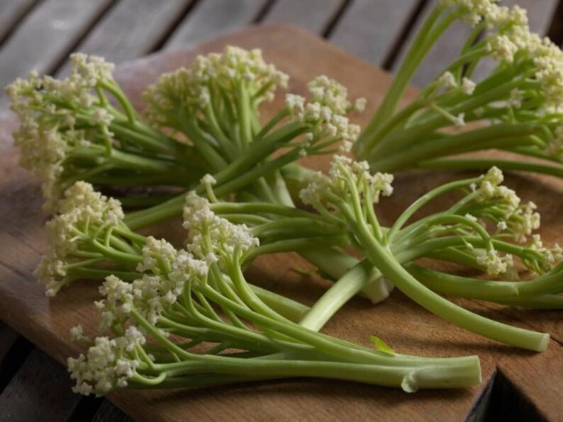 Hybrid Cauliflower Loose Type Long Stems Chinese Cauliflower - Etsy
