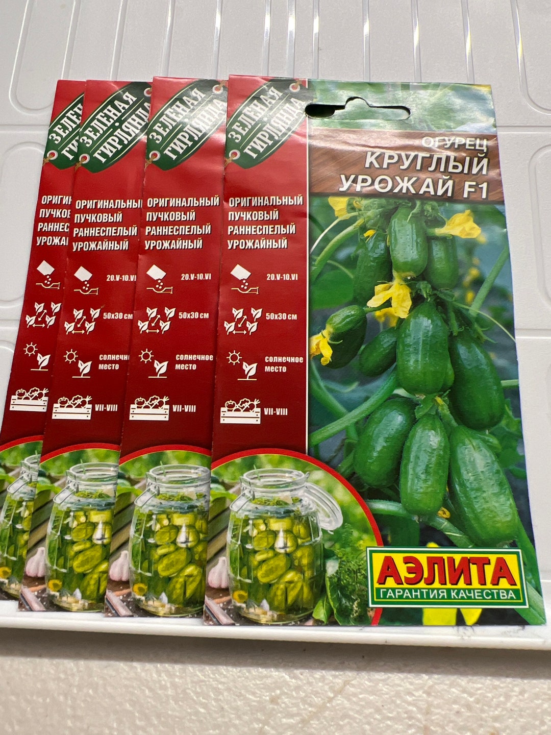 Baby Cucumber Russia Origin Cucumber Seeds - Dưa Leo Chùm Giòn Ngon ...