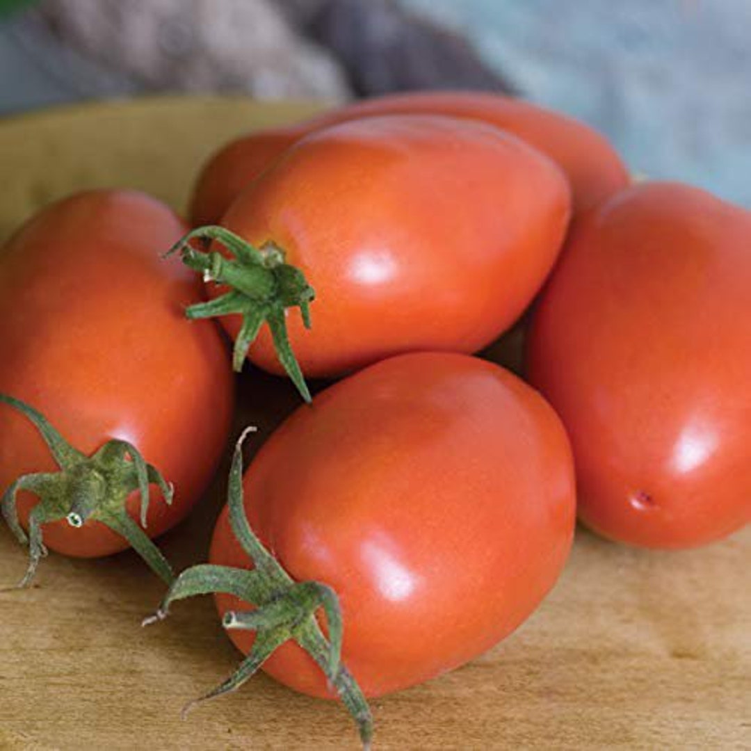 100 Seeds Amish Paste Tomato Seeds, Non Gmo, Organic, Great for Sauce| Vegetable Fruit Herb ...