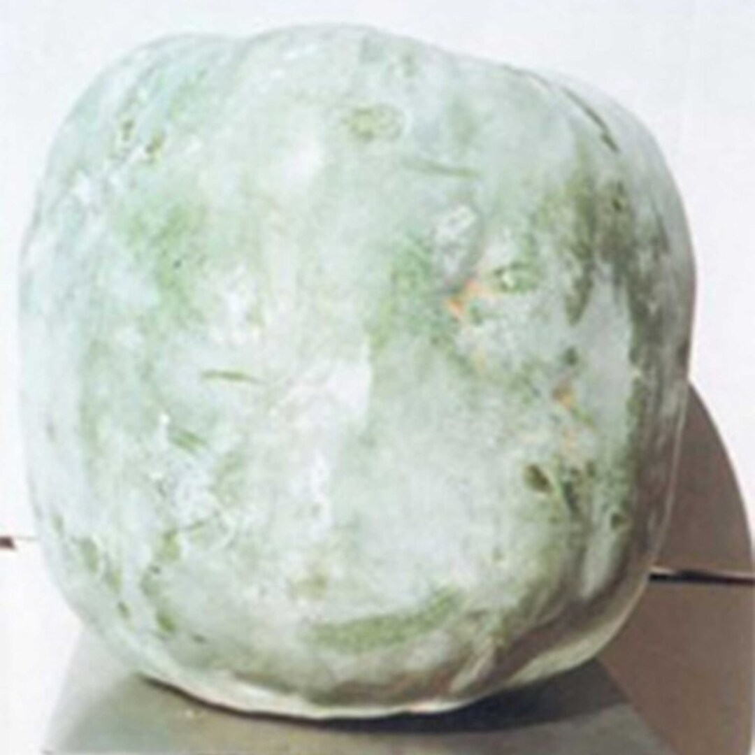 30-60-120-1lb Giant WAX GOURD Winter Melon Dong Gua Seeds - Etsy