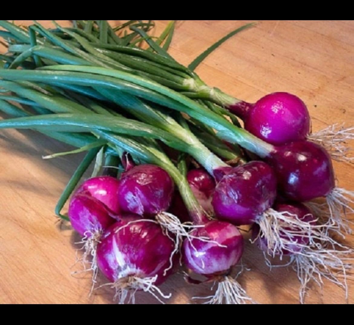 Red Onion Sets (bulbs) | for Planting Gardening Scallion Purple Pearl ...