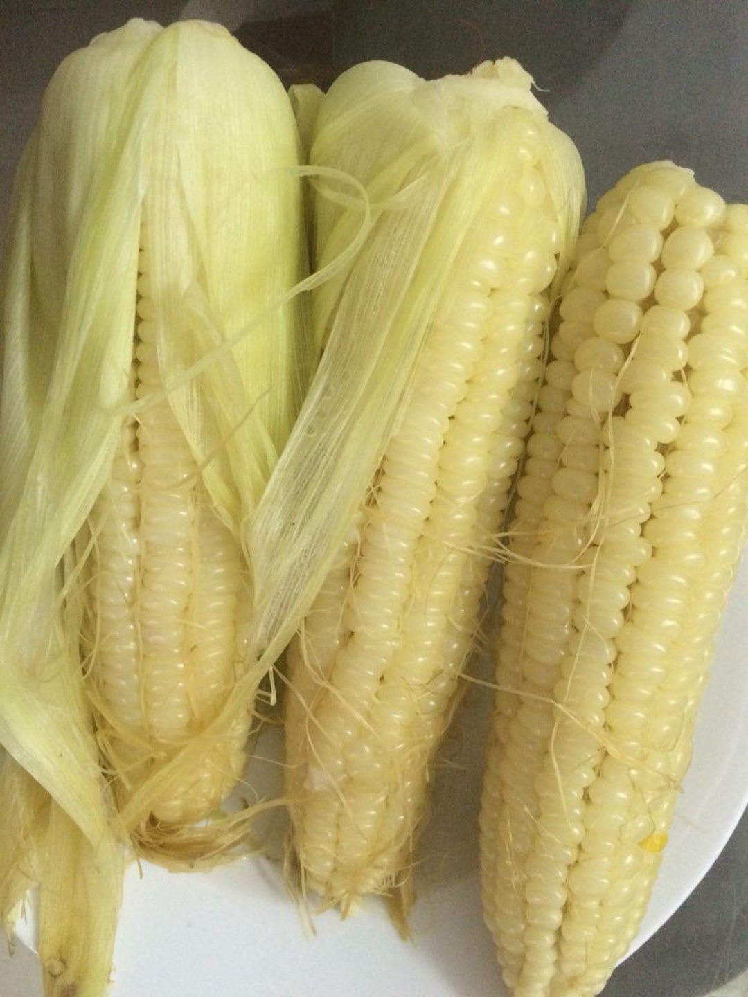 20 Seeds Waxy Corn Vietnamese Bap NEP Sticky Corn Seeds Glutinous Corn ...