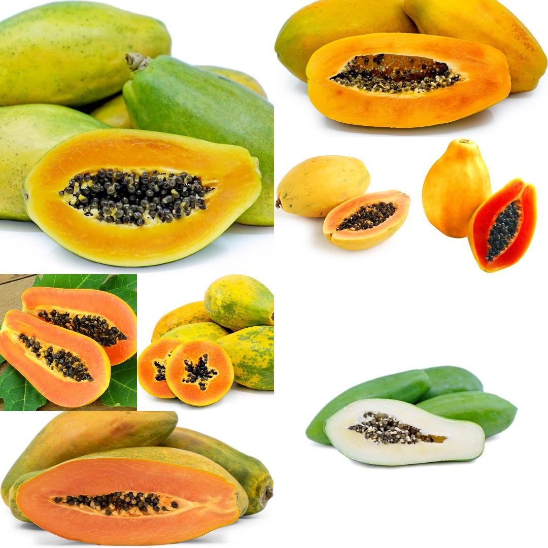 Fresh Produce Vary Types of Papaya in Usa: Hawaiian Solo, Royal Star ...