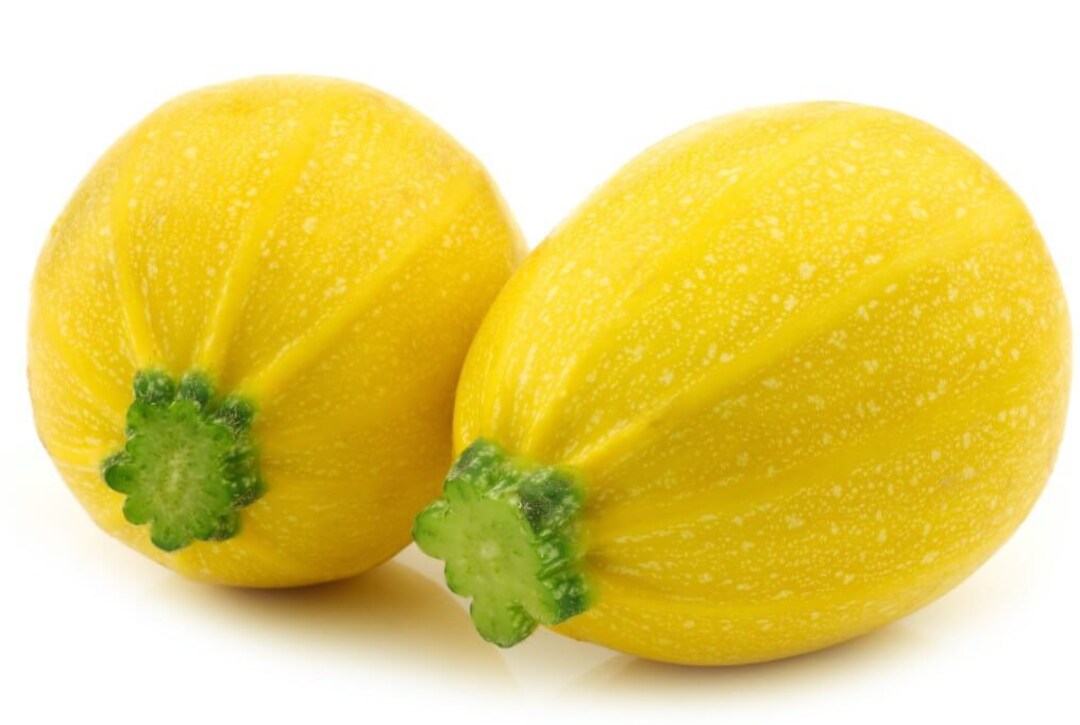 One Ball Squash Very Rare Seeds 5 Seeds Fabulous New Hybrid Zucchini ...