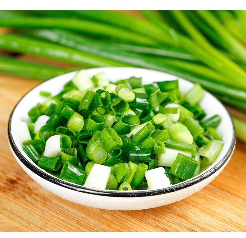 600+ Onion Seed Individual Packs - Scallion “red Beard” and Bunching ...