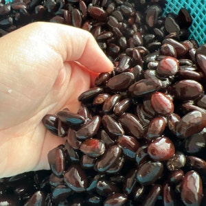 Paw Paw Tree Seeds for Planting 20+ Seeds Edible Fruit Tree, Made in ...