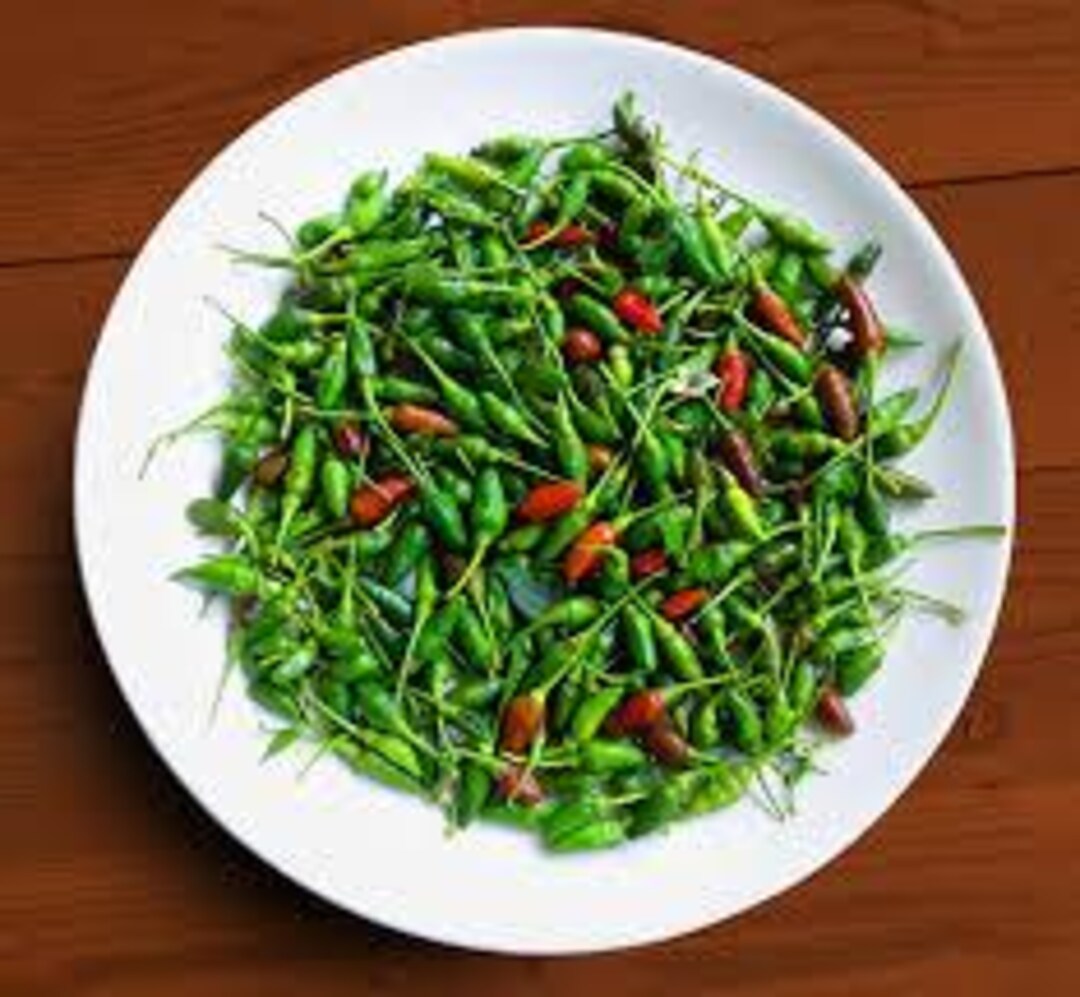 Diaspora Mix - Bird's Eye /green Bird's Eye Pepper Seeds - Hạt Giống Ớt ...