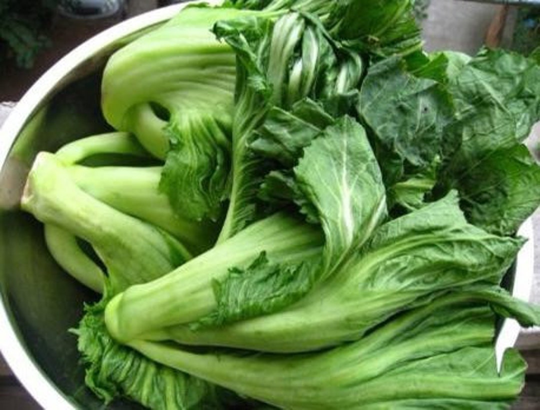 1/2 Oz - 11,000 Seeds Asian Vegetable Seeds Bau-sin Chinese Mustard ...