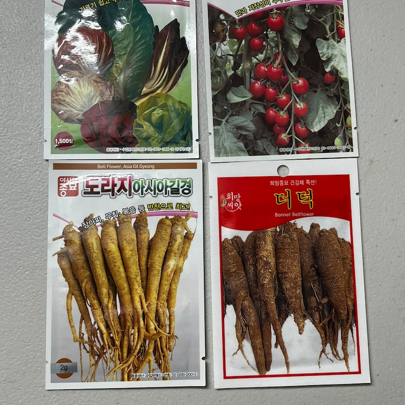 Korean Seeds - Etsy