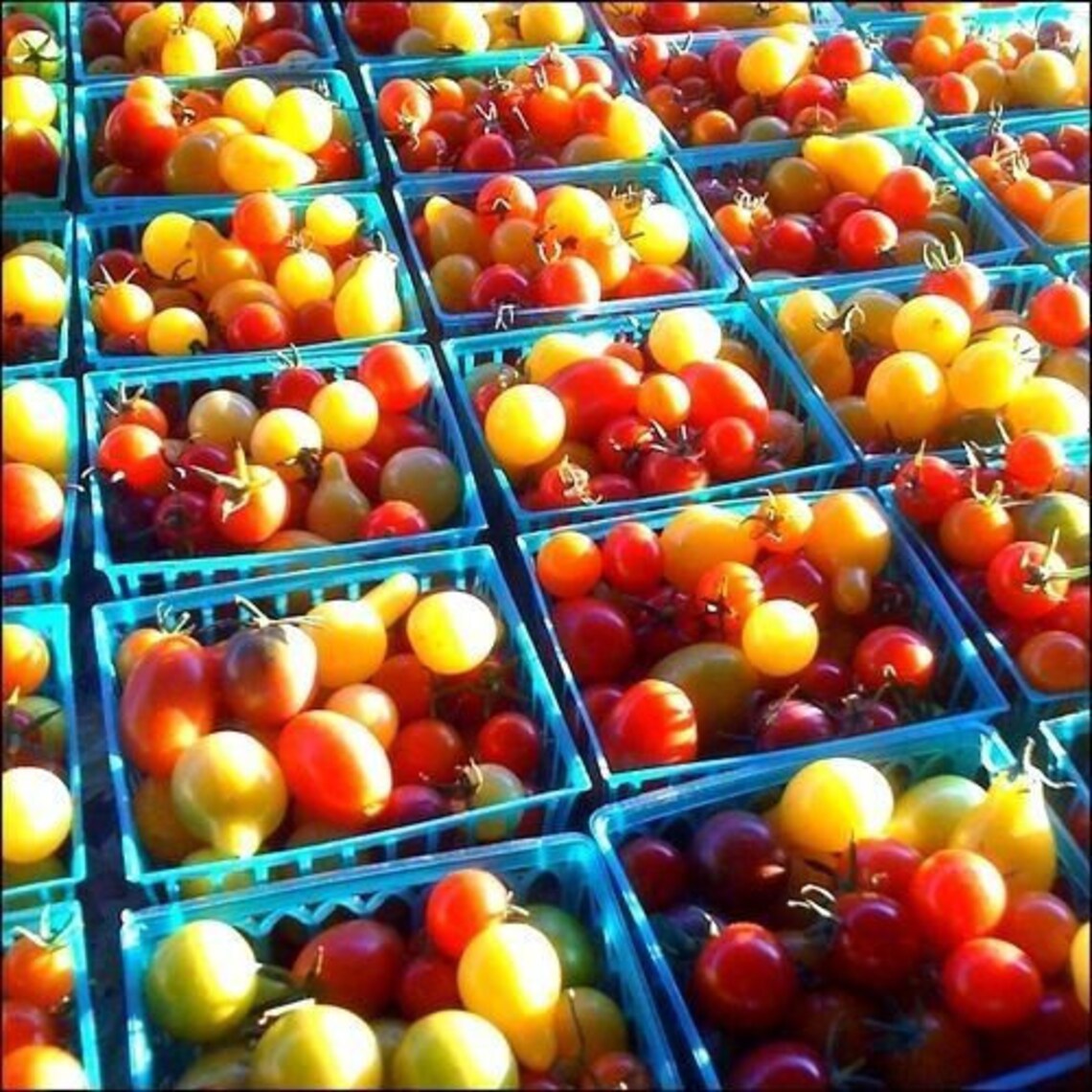 Rainbow Cherry Tomato Seeds, NON-GMO, Organic, Colorful Cà Bi Baby đủ ...