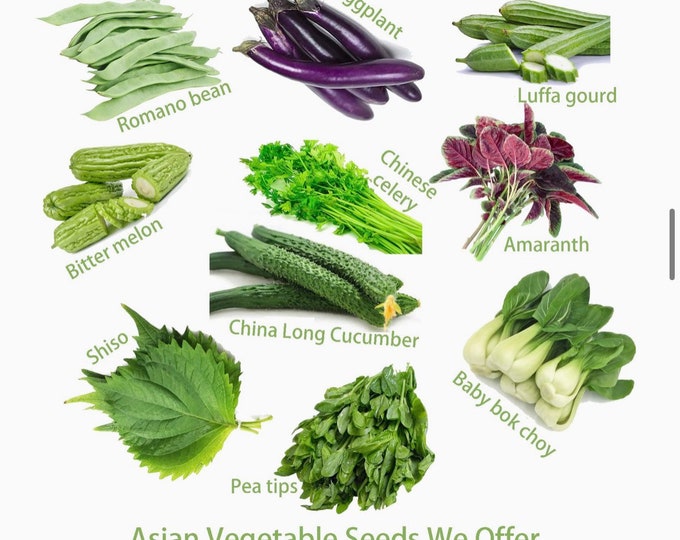10 Types Asiab Seeds Heirloom Vegetable Bitter Melon China Long Shiso ...