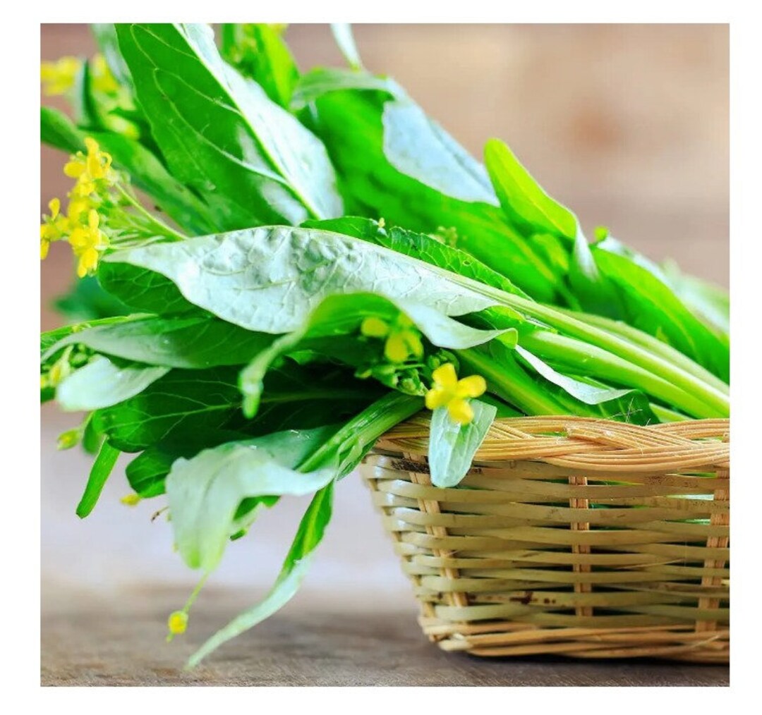 Asian Yu Choy- Choi Sum - Choy Sum - Chinese Flowing Cabbage Veggies ...