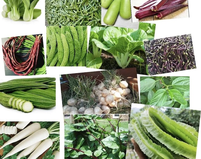 20 Packets Asian Vegetable Seeds for Planting Vietnamese Chinese Indian ...