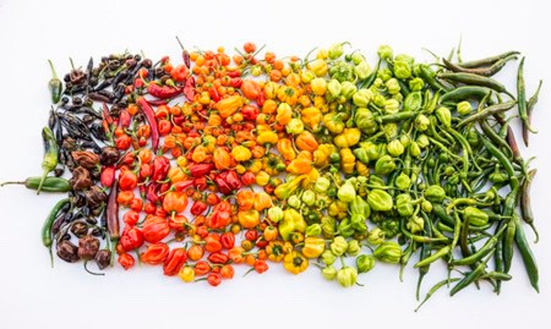 Pepper Hot Mix (HOT) Vegetable Seeds NON-GMO - Hot Pepper Mixed 16 ...