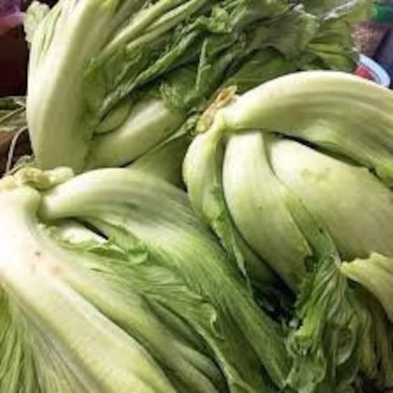 1/2 Oz - 11,000 Seeds Asian Vegetable Seeds Bau-sin Chinese Mustard ...