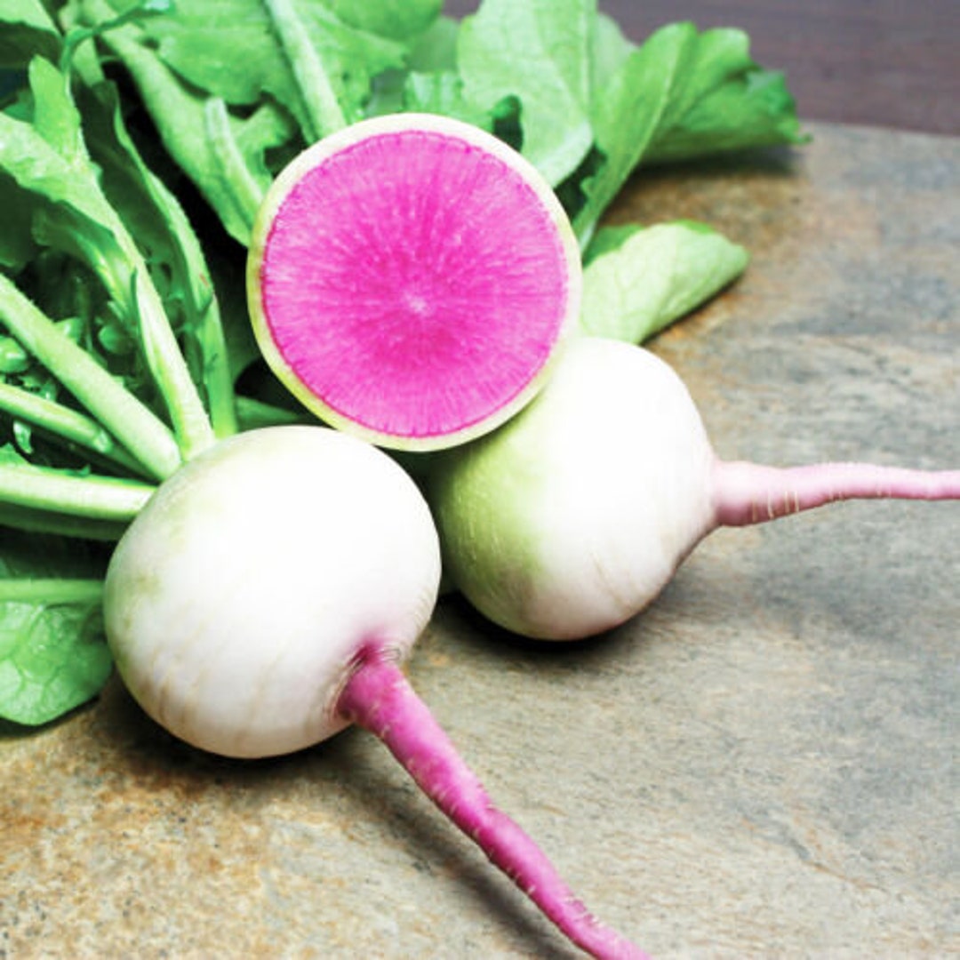 100+ Watermelon Radish Seeds Chinese Red Meat Radish Beauty Heart ...