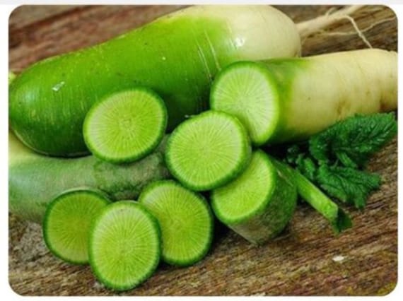 1200 Seed Green Meat Luobo Chinese Radish Seeds 改良青萝卜 - Etsy