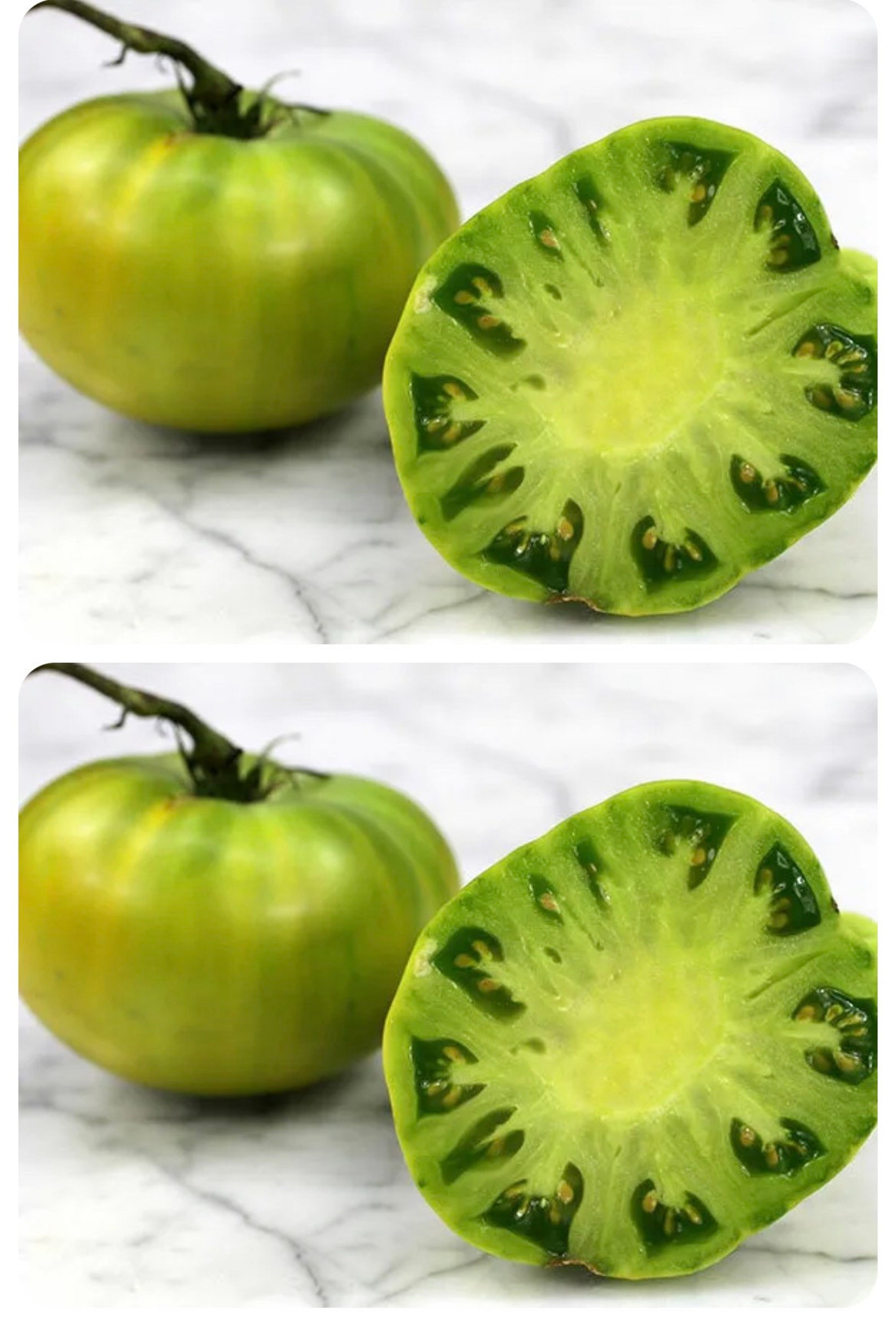 Tomato Seeds - Tasty Evergreen Tomato - 20 Seeds - Green Heirloom Ca ...