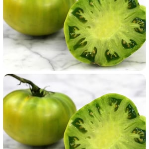 Tomato Seeds - Tasty Evergreen Tomato - 20 Seeds - Green Heirloom Ca ...