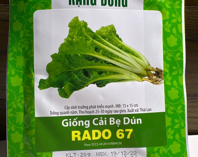 Cai Be Dun, Taiwan Pak Choy Frilly, Seeds Easy to Grow,delicious Cải Bẹ ...