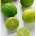 Citrus Aurantifolia Key Lime Mexican Lime 25 Seeds - Etsy