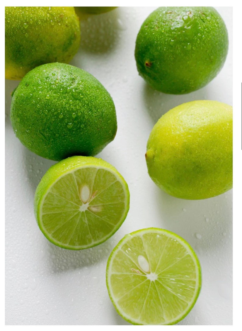 Citrus Aurantifolia Key Lime Mexican Lime 25 Seeds - Etsy
