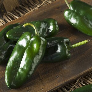 7 Pepper Seeds - Tiburon Poblano Pepper Highly-productive, Hybrid ...