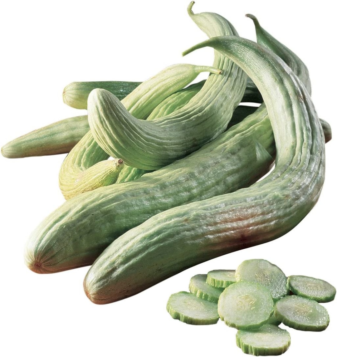 500 Seeds Yard Long Serpent Snake Melon Pale Green Wild Kakri Metki ...