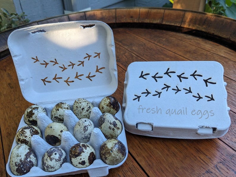 Laser Cut Quail Tracks Quail Egg Cartons: Paper Pulp Set of 4 - Etsy