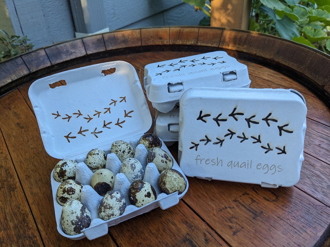 Laser Cut Quail Tracks Quail Egg Cartons: Paper Pulp Set of 4 - Etsy