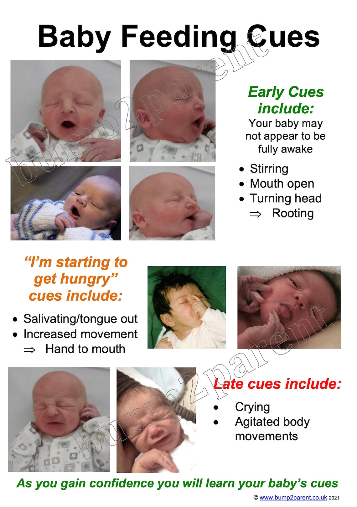 Baby Feeding Cues Poster Parentcraft/antenatal Teaching Aid - Etsy UK