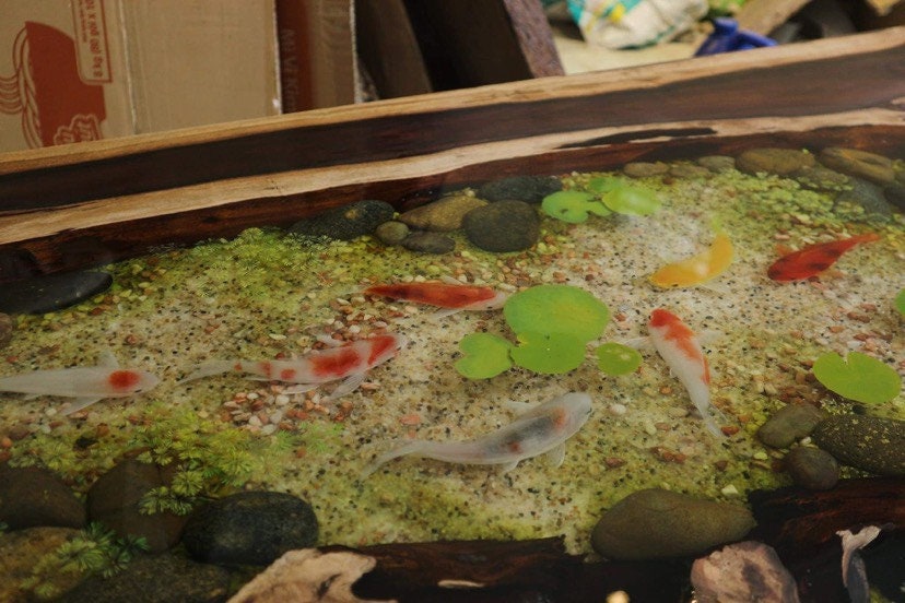 River Table With Koi Fish, Koi Fish Coffee Table, Koi Fish Dining Table ...