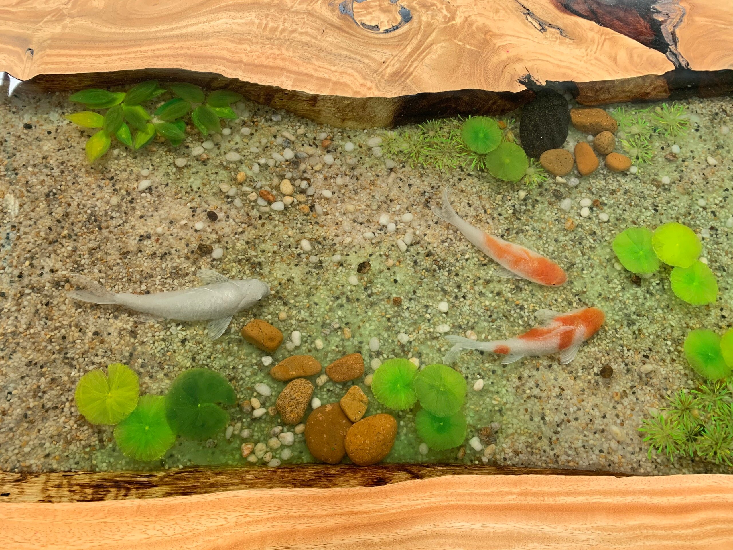 River Table With Koi Fish, Koi Fish Coffee Table, Koi Fish Dining Table ...