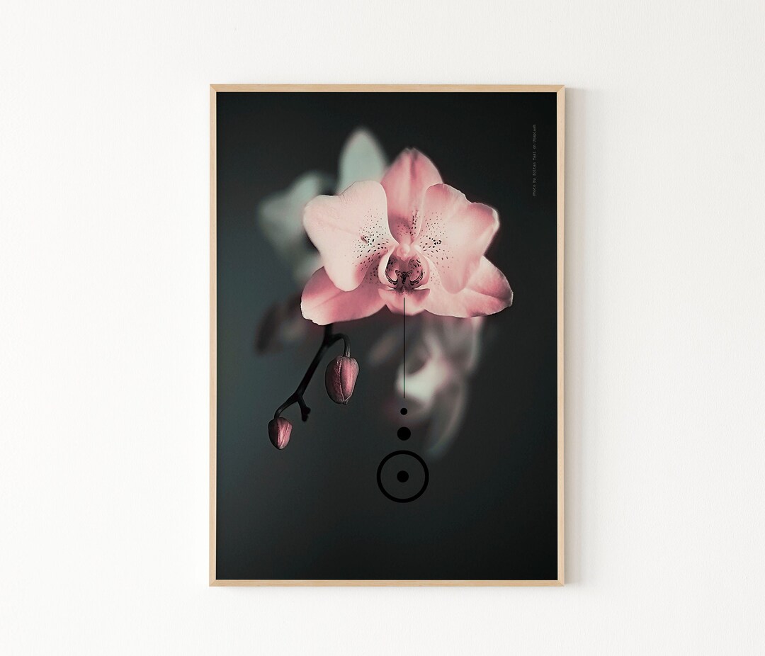 Pink Orchid | Orchid Poster, Orchid Photography Print Art Deco Poster ...