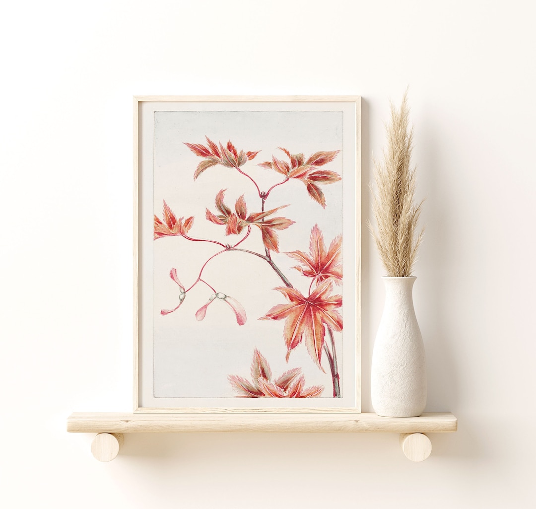 Branch of Momiji Maple Tree by Megata Morikaga, Original From Library ...
