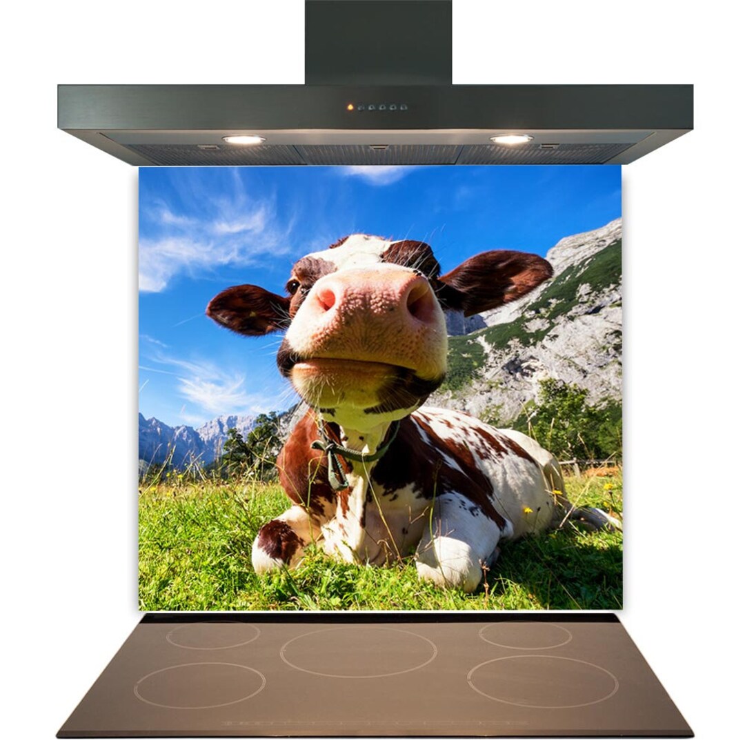 Kitchen Glass Splashback Toughened Tile Cooker Panel Any Size Cow Face ...