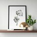 Flower Art Print With Frame - Etsy