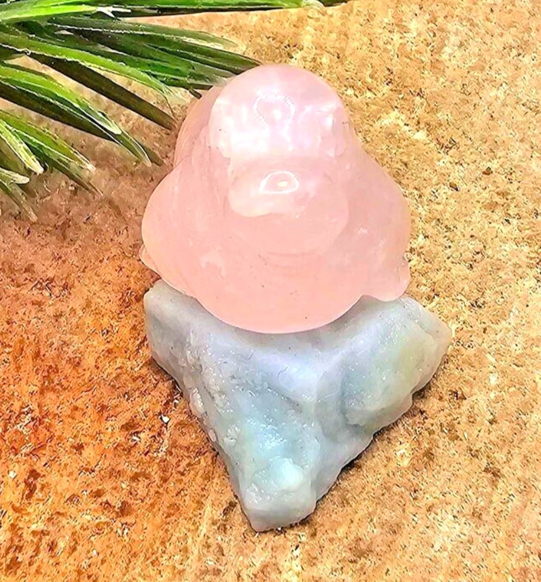Cute Nature Stone Hand Carved Manatee & Caribbean Calcite Stone - Etsy