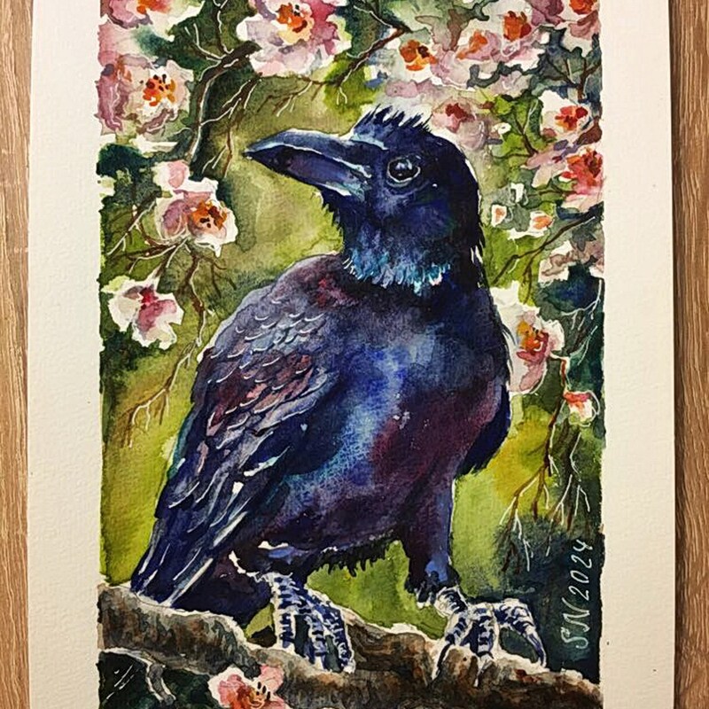Raven Watercolor - Etsy