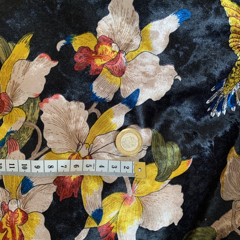 Italian Velvet Fabric Bird Bird Hummingbird Leaves Flowering - Etsy