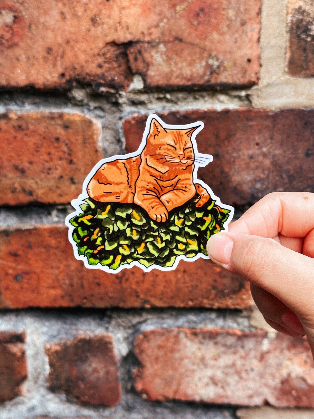 You Are My Best Bud Sticker - Ginger Cat Sticker - Waterproof, Glossy ...
