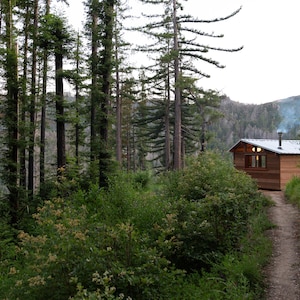 12x16 Small Cabin Plans - 200 Sqft Shed Plans - Tiny House - Studio ...