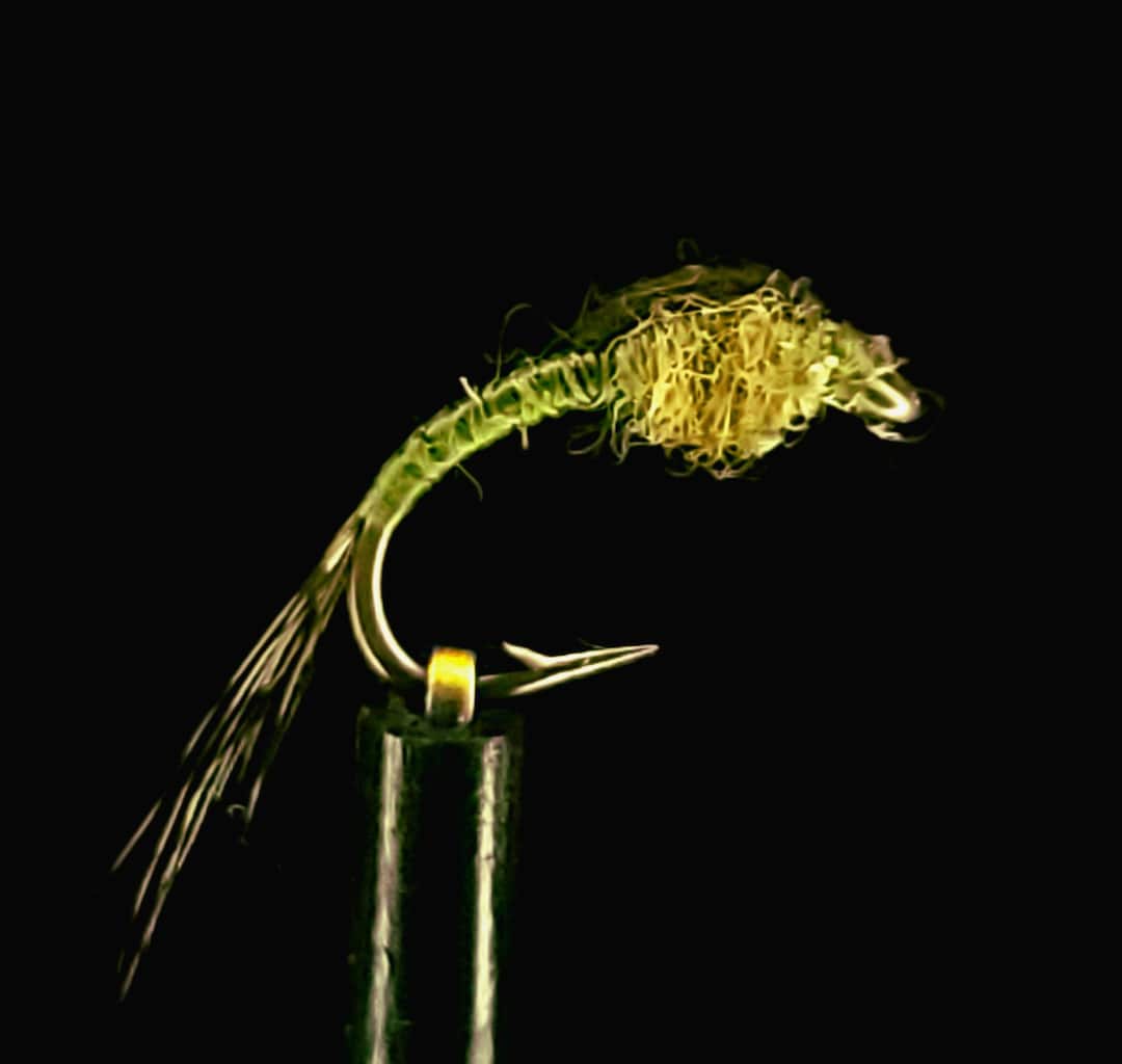 Mayfly Emerger WD40 5 Pack - Etsy