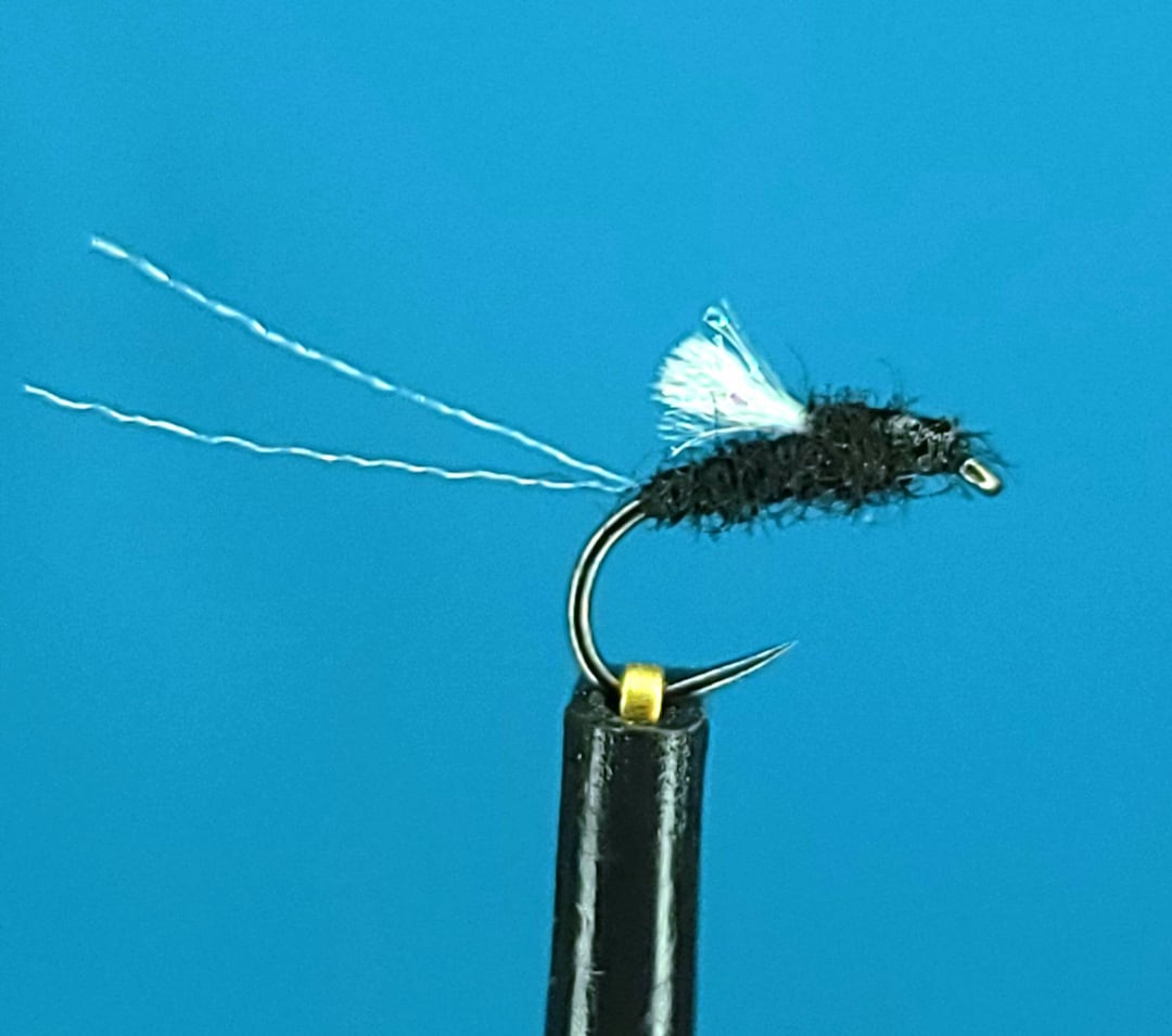 RS2 Nymph 5 Pack - Etsy