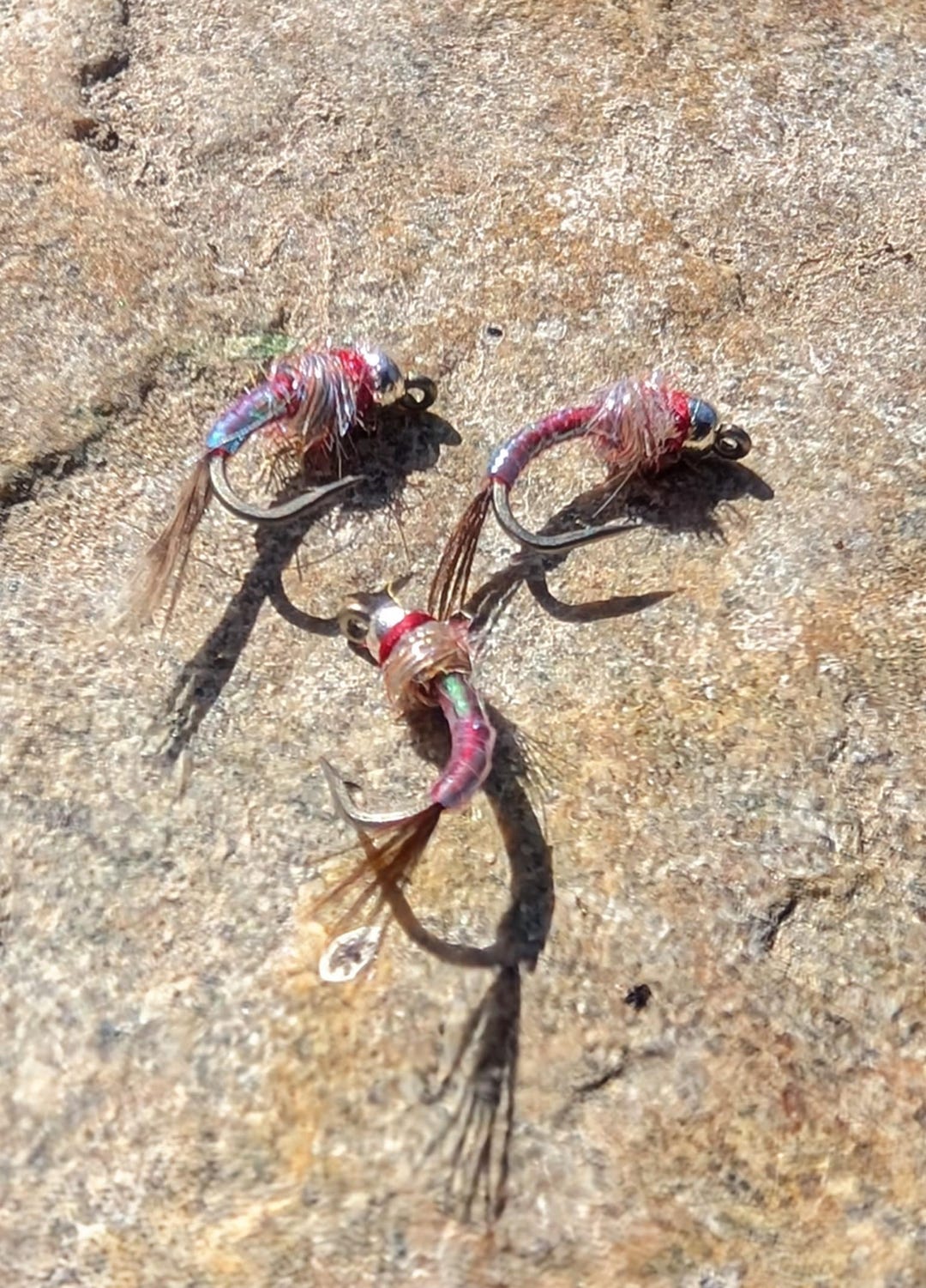 Rainbow Warrior Nymph - 5 Pack - Etsy