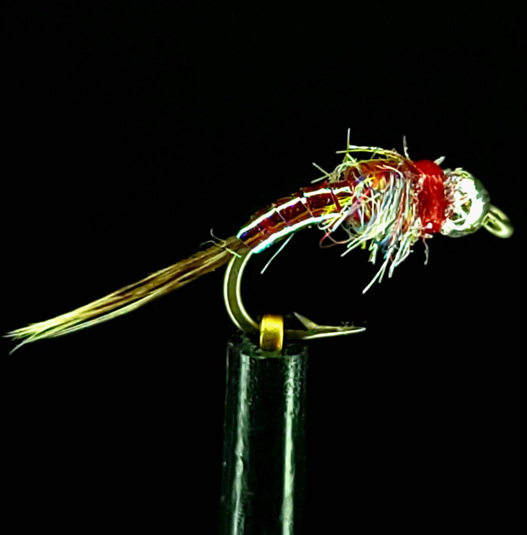 Rainbow Warrior Nymph 5 Pack - Etsy