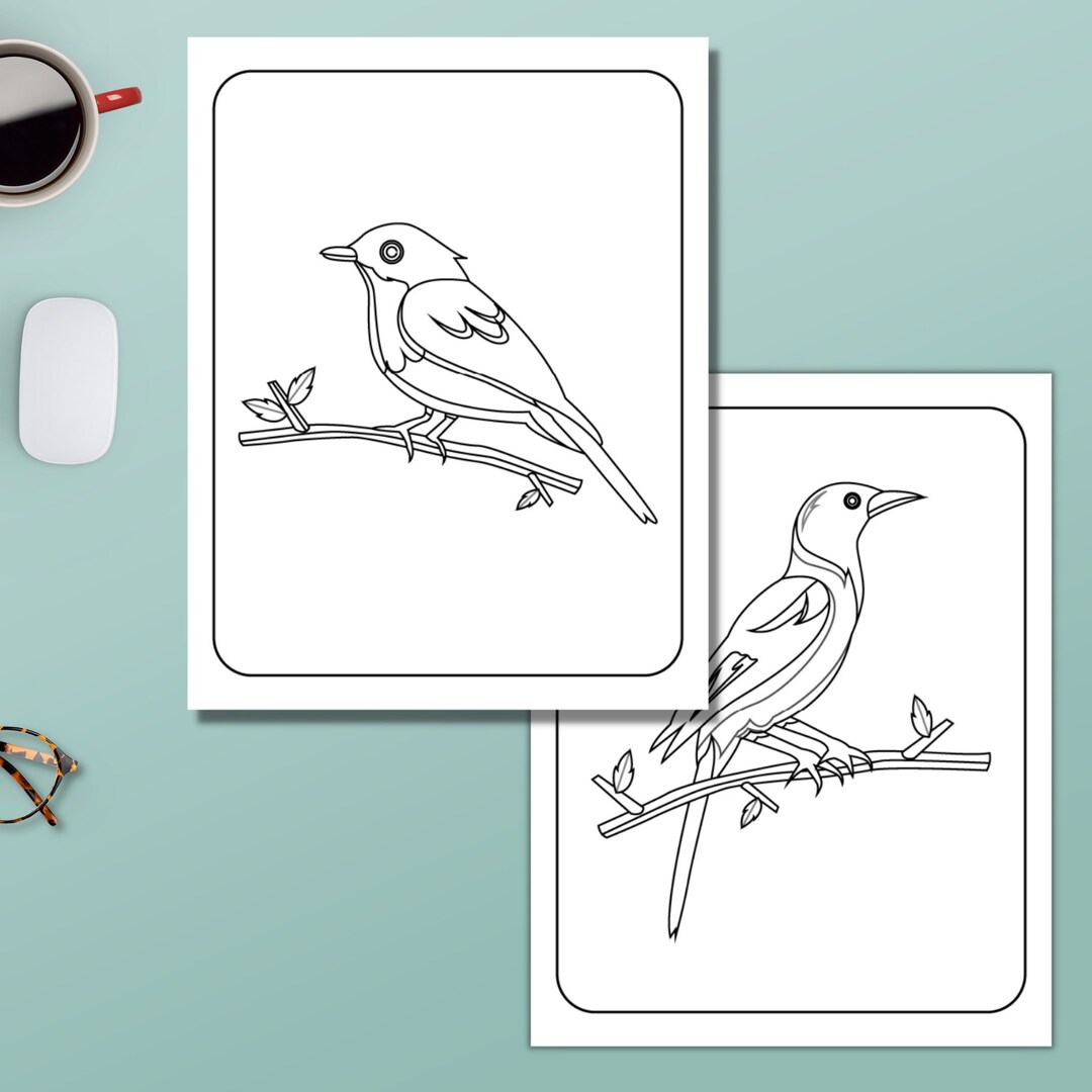 Bird Coloring Pages, 20 Page Coloring Book, Children's Activity, Print ...