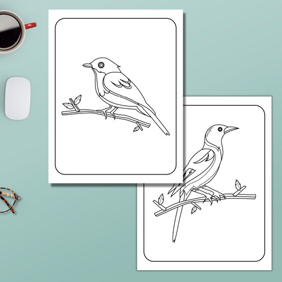 Bird Coloring Pages 20 Page Coloring Book Children's - Etsy