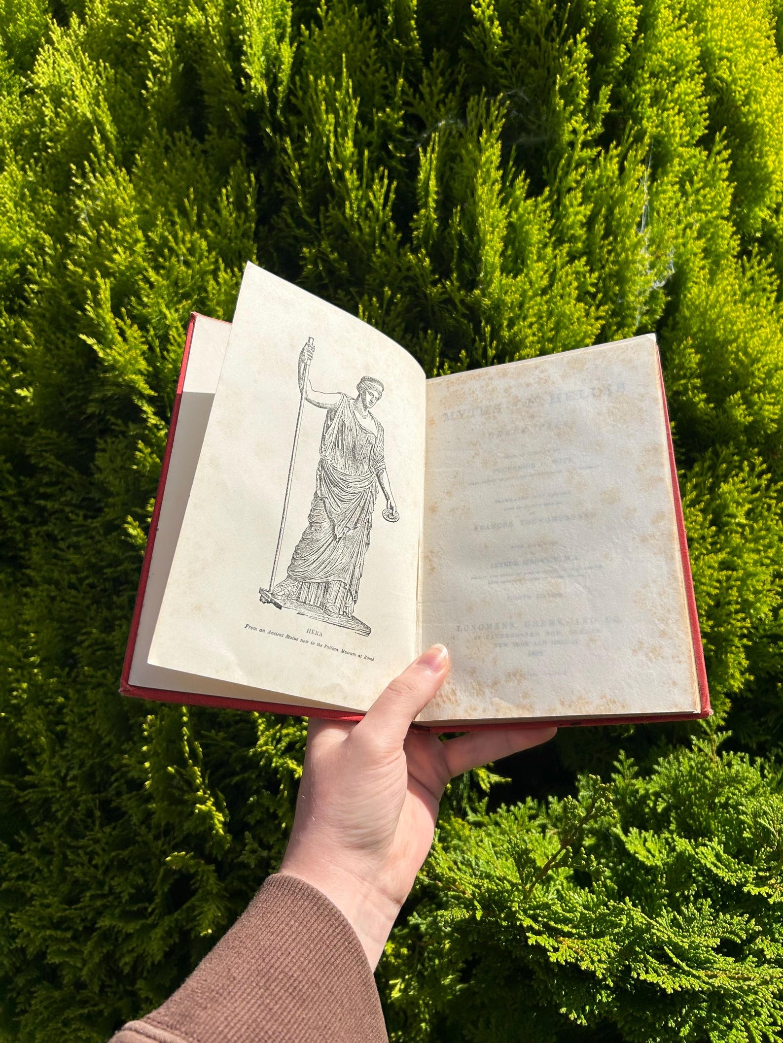 Myths of Hellas or Greek Tales by C. Witt, Translated by Frances ...
