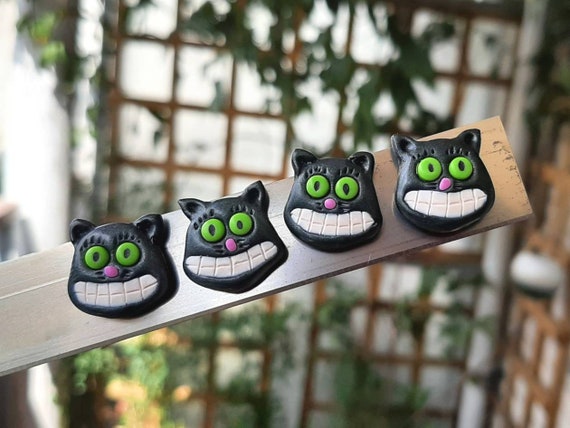 Crazy Cat Magnets